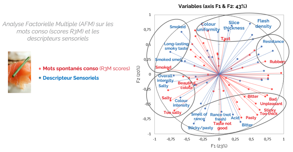 Du Preference Mapping (Prefmap) sans données sensorielles, c'est possible